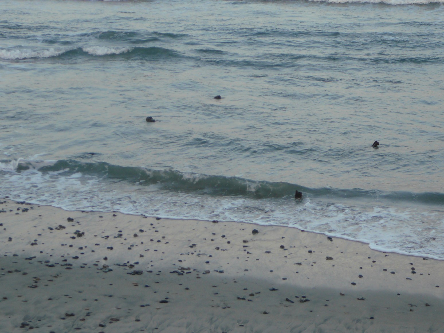 History of Oceanside’s First Pier – Histories and Mysteries