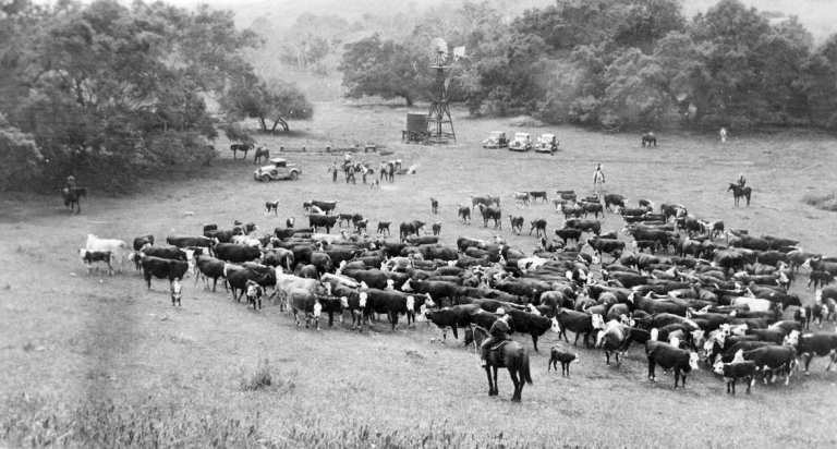 History of Camp Joseph H. Pendleton – Histories and Mysteries